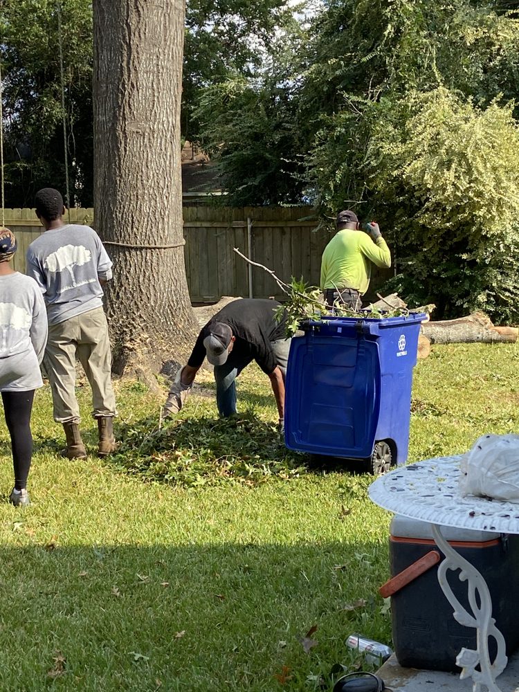 OPEXCELLENCE TREE & STUMP PROS - Updated October 2025 - 38 Photos ...