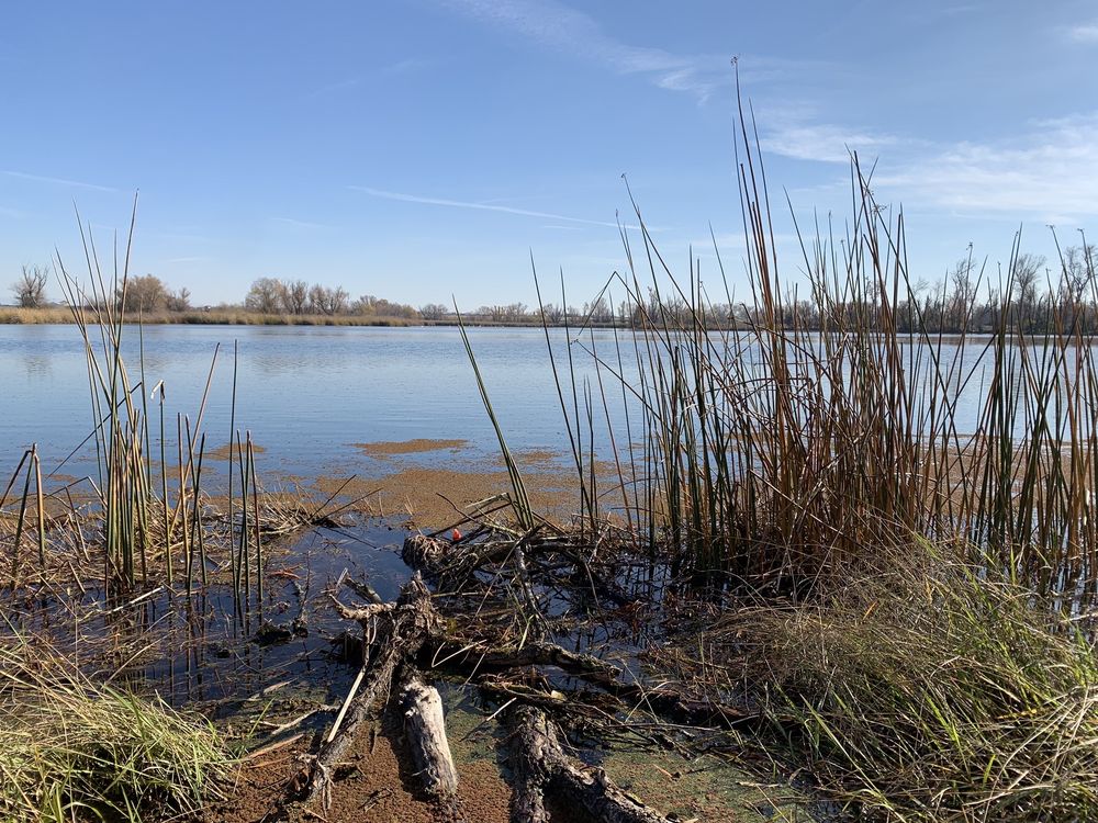 MATHER FIELD LAKE REGIONAL PARK - Updated October 2025 - 346 Photos ...