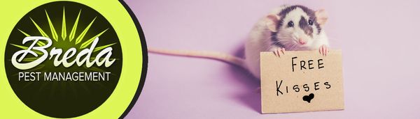BREDA PEST MANAGEMENT - Updated December 2025 - 11 Photos & 69 Reviews ...