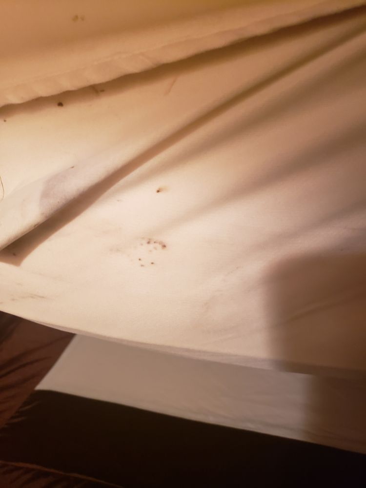 Fort McClellan Army Base (Training Center) in Anniston, AL – Military Bases