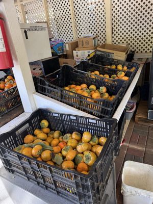 BAR 2 RANCH - Updated December 2025 - 102 Photos & 40 Reviews - 14797 ...