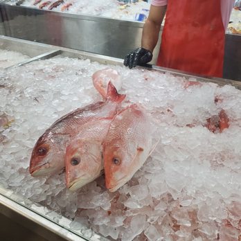 SONIA’S SEAFOOD RESTAURANT - Updated January 2026 - 187 Photos & 124 ...