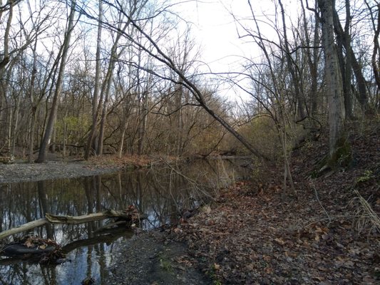 RUSH RUN PARK - Updated December 2024 - 19 Photos - 200 Broadmeadow ...