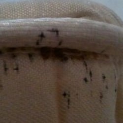 MEN IN BLACK PEST CONTROL SERVICES - 25 Photos & 383 Reviews ...