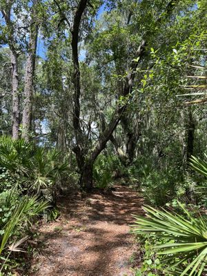 PEAR PARK - Updated December 2025 - 58 Photos & 10 Reviews - 26741 US ...