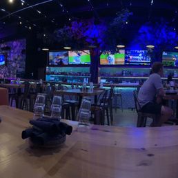 TREE HOUSE - Updated August 2025 - 178 Photos & 112 Reviews - 149 W ...