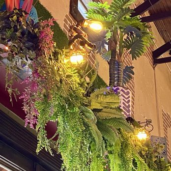 CENAS KITCHEN - Updated November 2024 - 587 Photos & 758 Reviews - 15650 FM 529, Houston, Texas ...