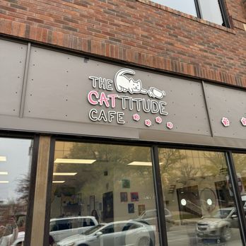 THE CATTITUDE CAFE - Updated January 2026 - 27 Photos - 225 E 11th St ...