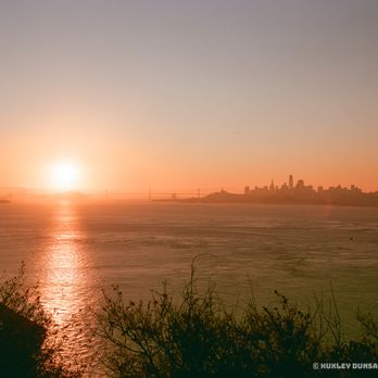 SHUTTERBUG CAMERA SHOP - Updated January 2026 - 41 Photos & 110 Reviews ...