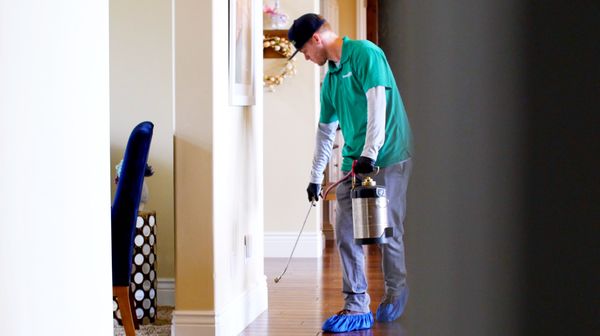 HOMESHIELD PEST CONTROL - Updated November 2025 - 233 Photos & 1239 ...