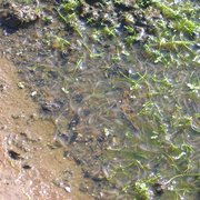 VASCO CAVES REGIONAL PRESERVE - 20 Photos - 19450 Marsh Creek Rd ...