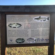 SILVER LAKE REGIONAL PARK - 37 Photos & 12 Reviews - 16198 Silver Lake ...