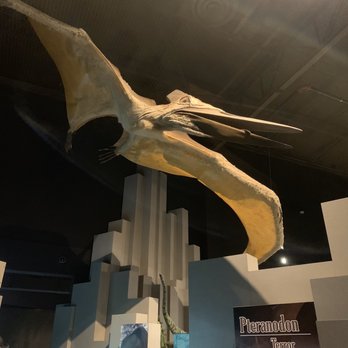 ANNISTON MUSEUM OF NATURAL HISTORY - Updated October 2025 - 59 Photos ...