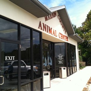 MARION COUNTY ANIMAL SERVICES - 13 Photos & 12 Reviews - 5701 SE 66th ...