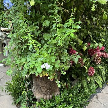 CA BIANCA - Updated June 2024 - 763 Photos & 828 Reviews - 835 2nd St ...