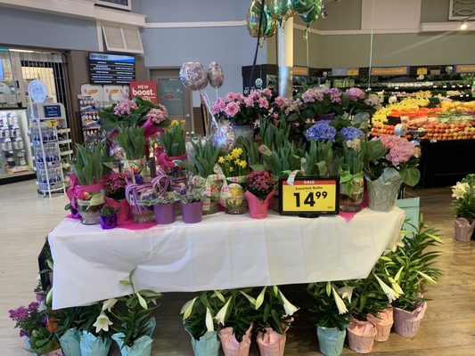 RALPHS - Updated October 2025 - 107 Photos & 213 Reviews - 12842 ...