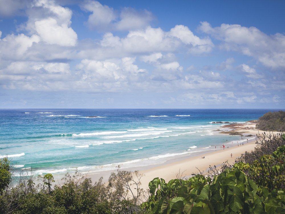 SNAPSHOTS OF STRADDIE GALLERY - Updated August 2024 - 110 Dickson Way ...