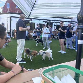 DOG DAZE - Updated July 2025 - 39 Photos & 16 Reviews - 1100 Rhode ...