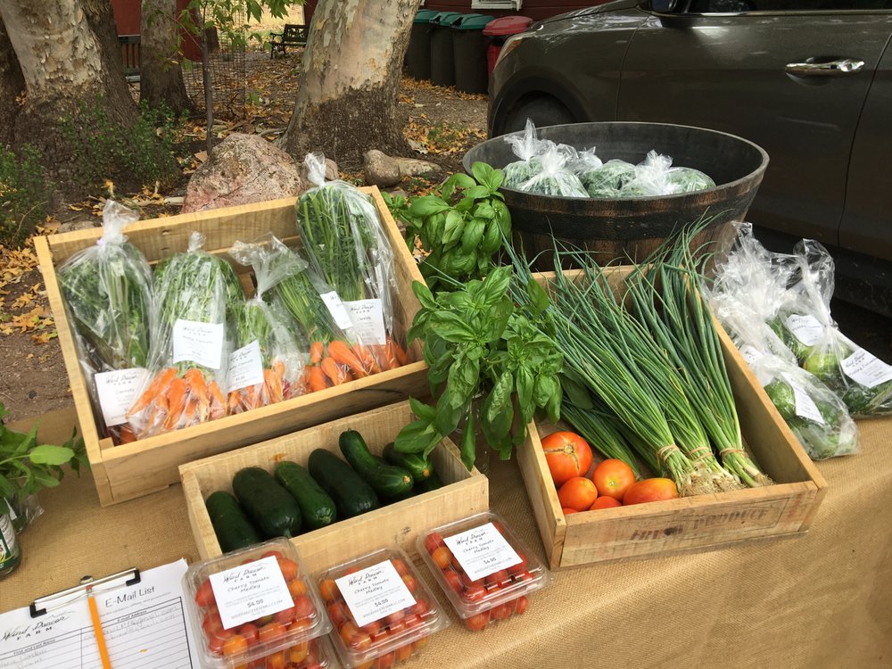 WIND DANCER FARM - Updated July 2025 - 44 W Cypress Ln, Portal, Arizona ...