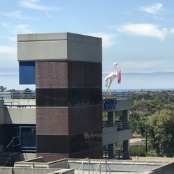 SHARP MARY BIRCH HOSPITAL FOR WOMEN & NEWBORNS - 157 Photos & 312 ...