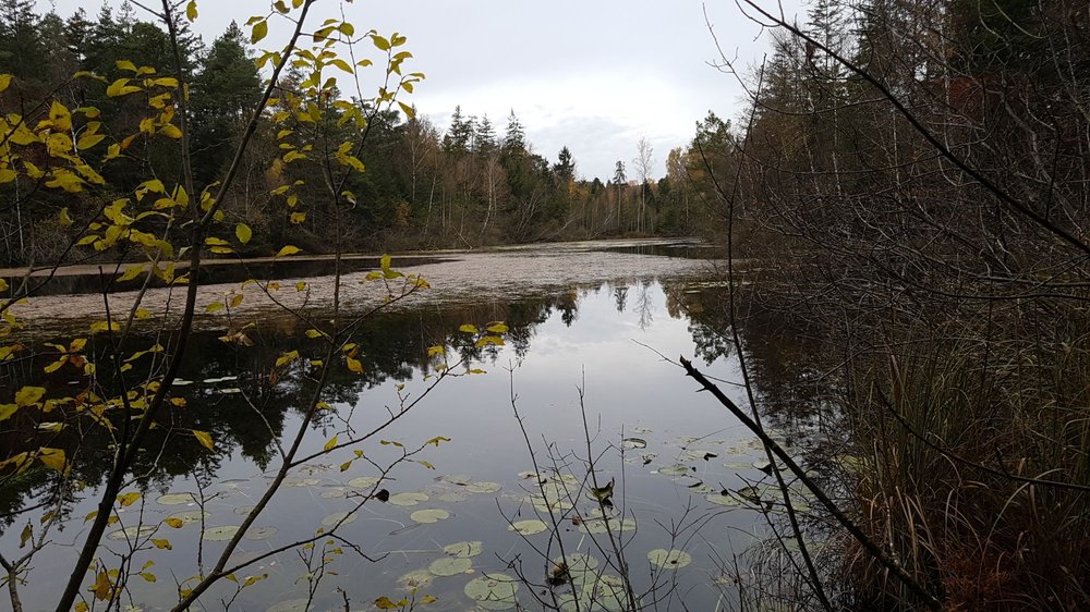 KITZLSEE - Moosach, Bayern, Germany - Lakes - Yelp