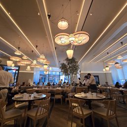 ZAYTINYA - NEW YORK - Updated December 2025 - 1550 Photos & 531 Reviews ...