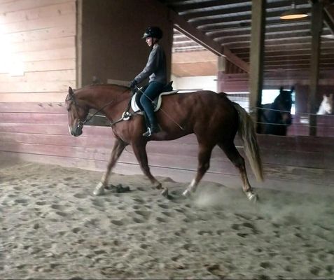 HIGH POINT EQUESTRIAN CENTER - Updated December 2025 - 13 Reviews ...