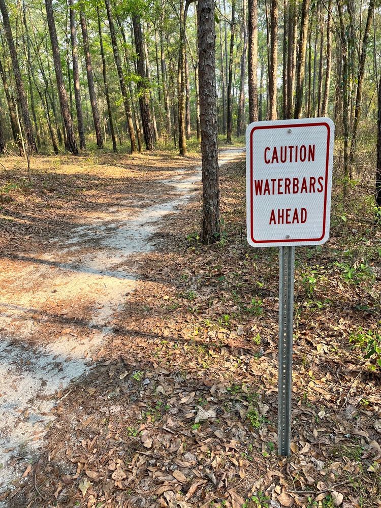 MICCOSUKEE CANOPY ROAD GREENWAY - Updated September 2025 - 59 Photos ...