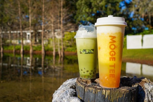 MOGE TEE - TAMPA - Updated January 2025 - 192 Photos & 81 Reviews ...