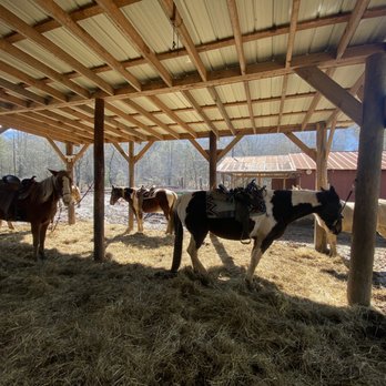 BLUE RIDGE MOUNTAIN TRAIL RIDES - Updated December 2025 - 186 Photos ...