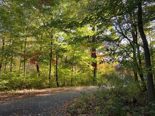 WALDENBURG PARK - Updated September 2024 - 95 Photos - 19225 21 Mile Rd ...