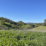 SHELL RIDGE OPEN SPACE - 305 Photos & 56 Reviews - 1035 Castle Rock Rd ...