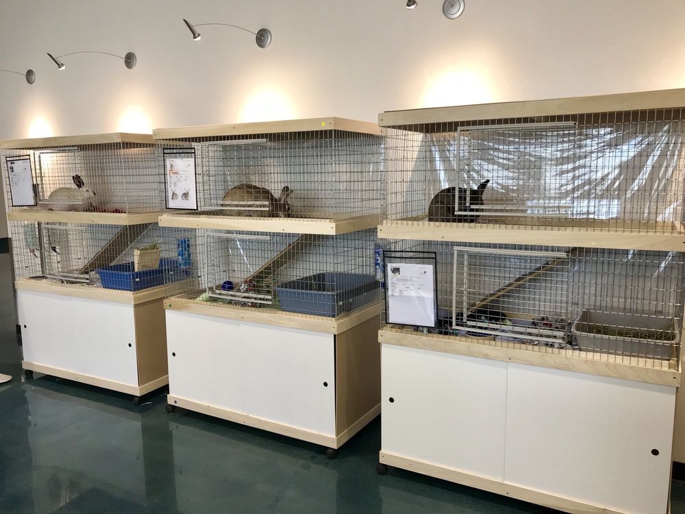 PLACER SPCA - 101 Photos & 88 Reviews - Animal Shelters - 200 Tahoe Ave ...