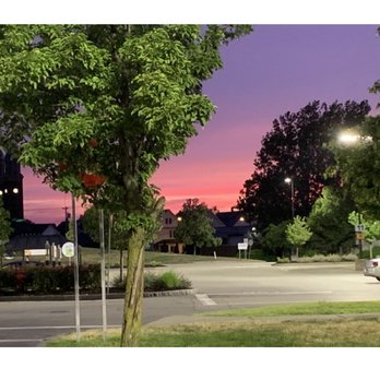 WEGMANS - Updated January 2026 - 236 Photos & 224 Reviews - 601 Amherst ...