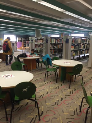 NEW HAVEN FREE PUBLIC LIBRARY - Updated October 2025 - 35 Photos & 11 ...