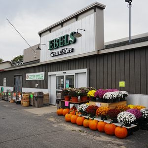 PINEVIEW DISCOUNT STORE - Updated July 2025 - 10 Reviews - 9200 S ...