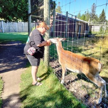 DEER RANCH - Updated October 2025 - 104 Photos & 32 Reviews - 1540 US-2 ...