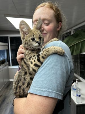 XTREME EXOTICS WILDLIFE FOUNDATION - Updated October 2024 - 32 Photos - St. Augustine, Florida ...