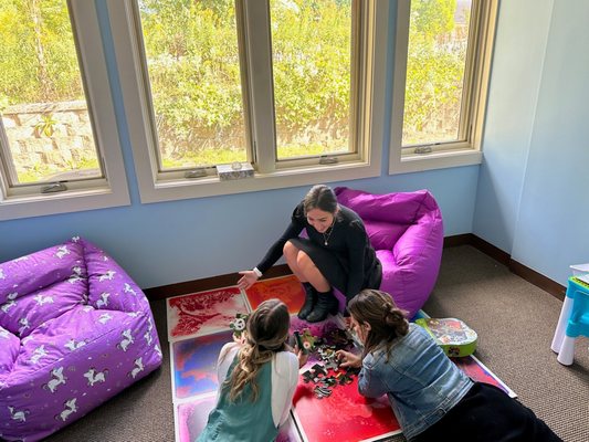 PLENA MIND CENTER - Updated January 2026 - 1480 Techny Rd, Northbrook ...