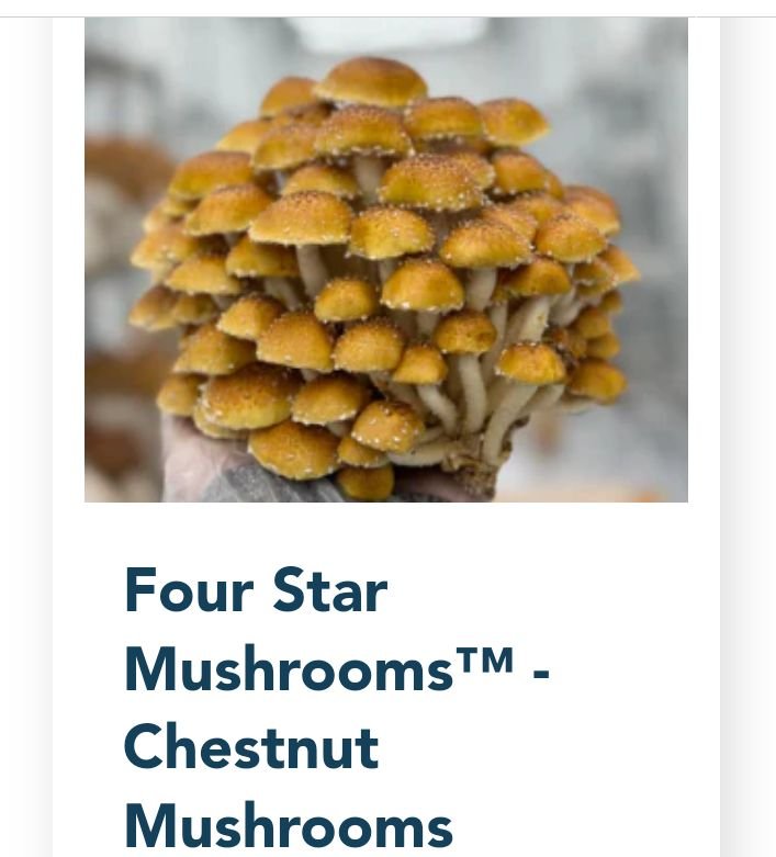 FOUR STAR MUSHROOMS - Updated August 2025 - 320 N Oakley Blvd, Chicago, Illinois - Live/Raw Food ...