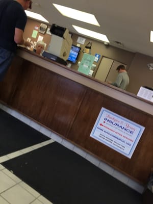 SOUTHLAND REGISTRATIONS - Updated January 2025 - 39 Reviews - 9705 ...