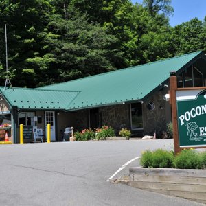 PAUPACK HILLS - Updated November 2025 - 73 Photos - 125 Country Club Rd ...