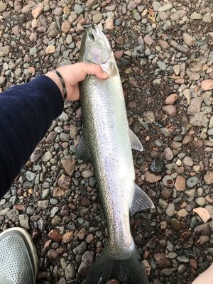 OLYMPIC NATIONAL PARK - 722 Photos & 148 Reviews - Parks - 600 E Park ...