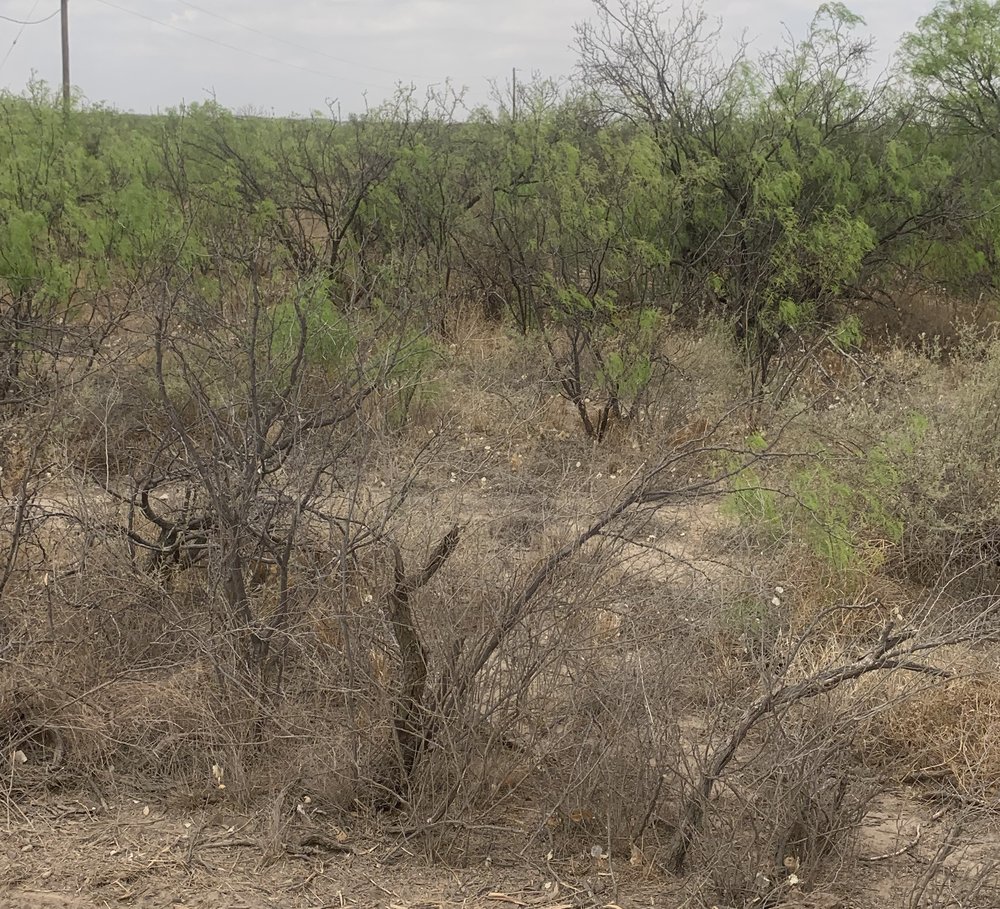 GRISHAM CONSTRUCTION - Updated August 2025 - Request a Quote - 7561 ...