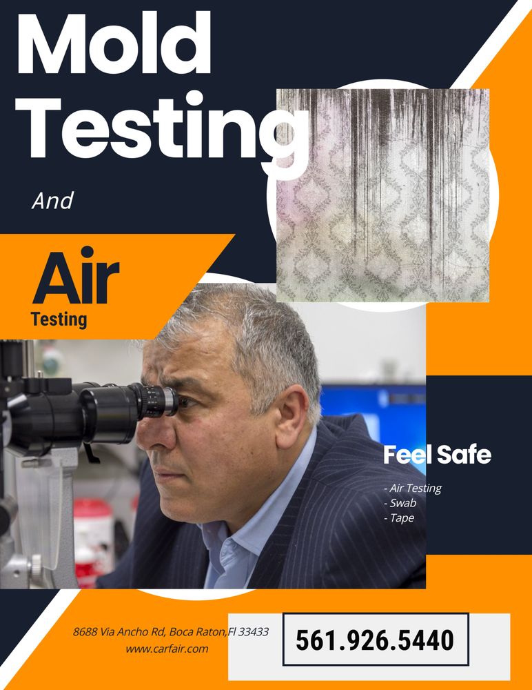 THE MOLD GUY - Updated December 2025 - Request Consultation - 13 Photos ...