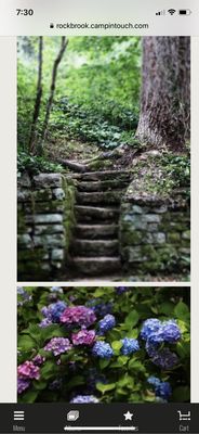 ROCKBROOK SUMMER CAMP FOR GIRLS - 11 Photos - 3460 Greenville Hwy, Brevard, NC - Yelp