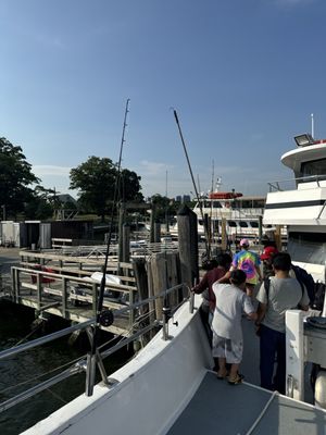 SOUND BOUND FISHING CHARTERS - Updated December 2025 - 83 Photos & 23 ...