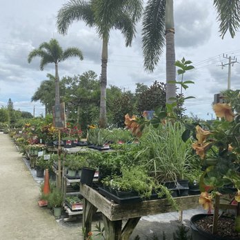 NELSON FAMILY FARMS - Updated April 2025 - 140 Photos & 96 Reviews ...