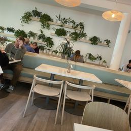 COLLINS QUARTER AT FORSYTH - Updated January 2026 - 1258 Photos & 707 ...