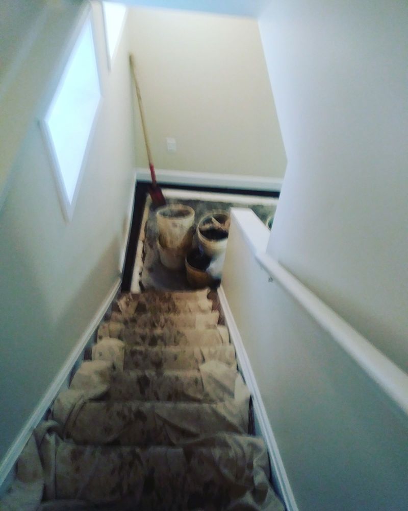 B-DRY SYSTEM-CLEVELAND - Updated October 2025 - 668 Northfield Rd ...